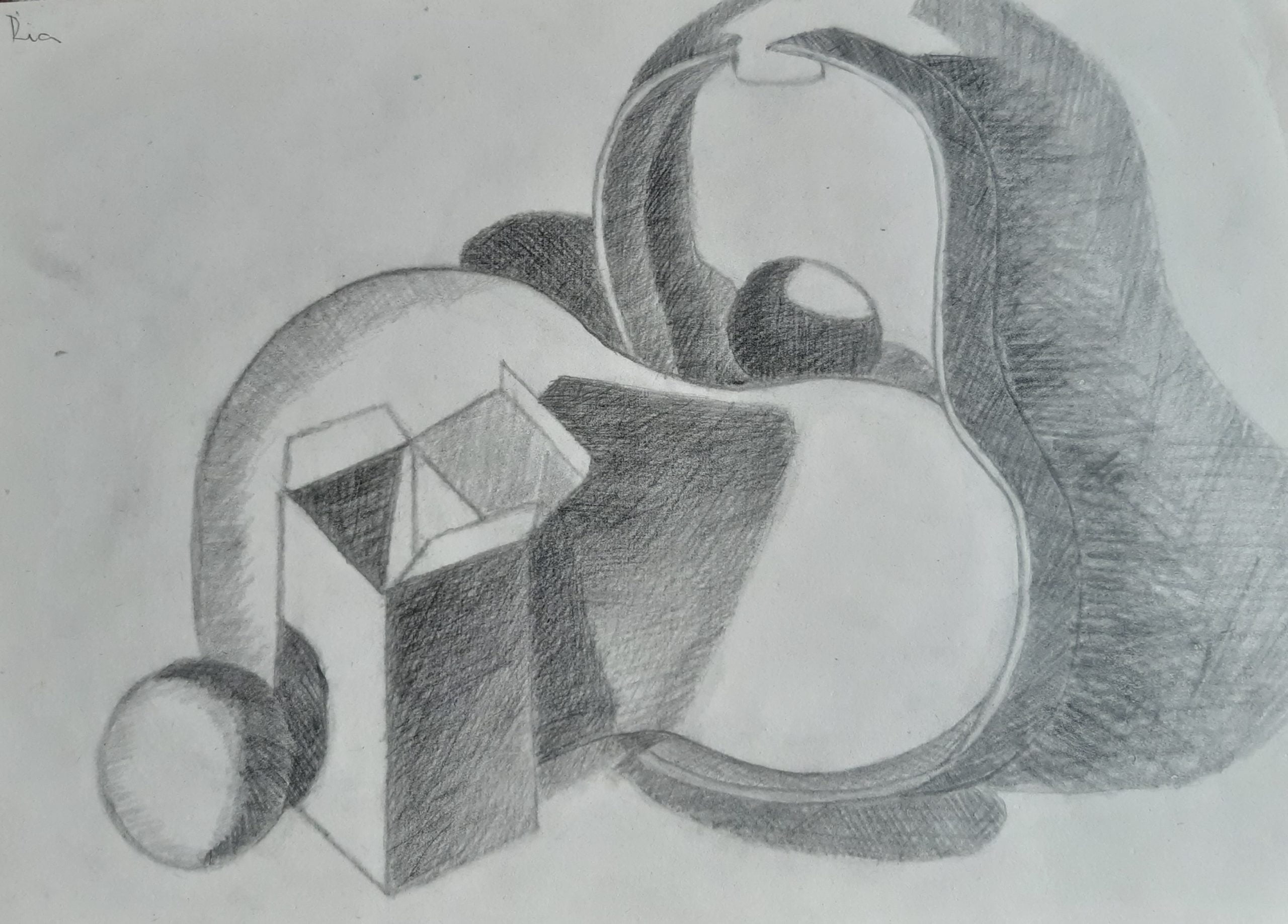 ACQUISITION OF DRAWING BASICS - Braun Gallery