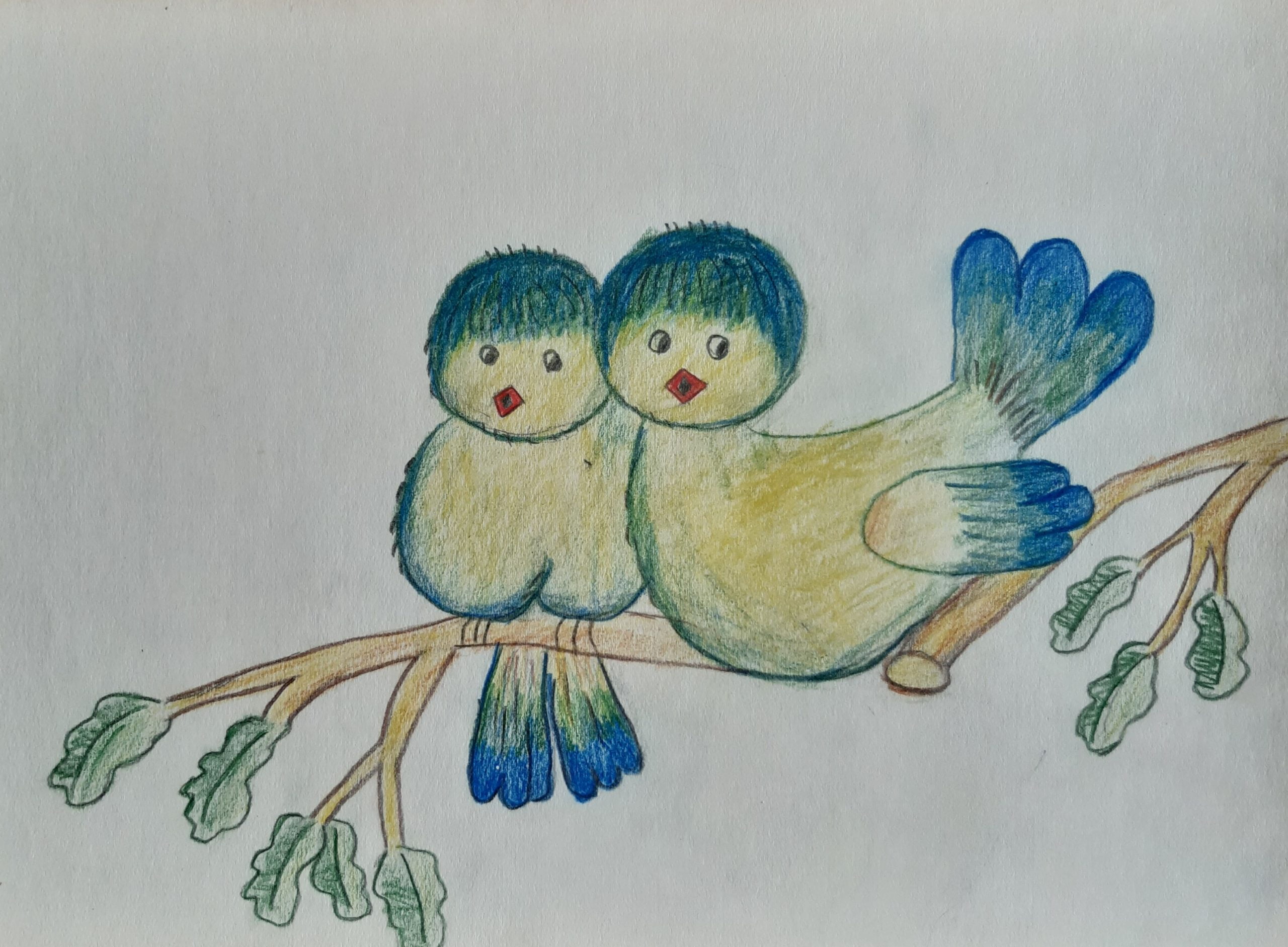 ACQUISITION OF DRAWING BASICS - Braun Gallery