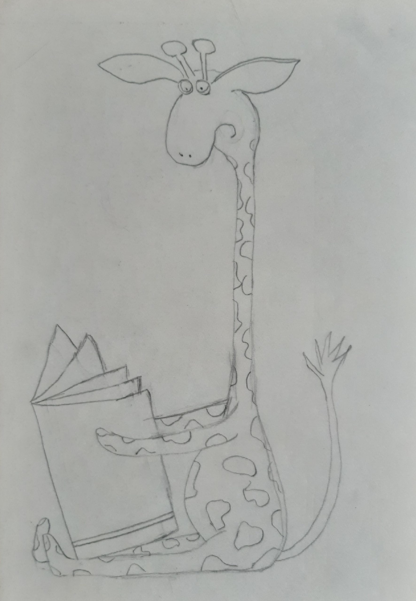 ACQUISITION OF DRAWING BASICS - Braun Gallery